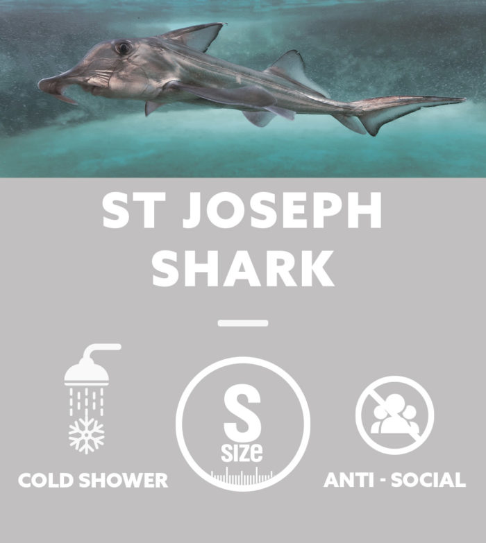 Shark Profiles - Sharks Under Attack Campaign