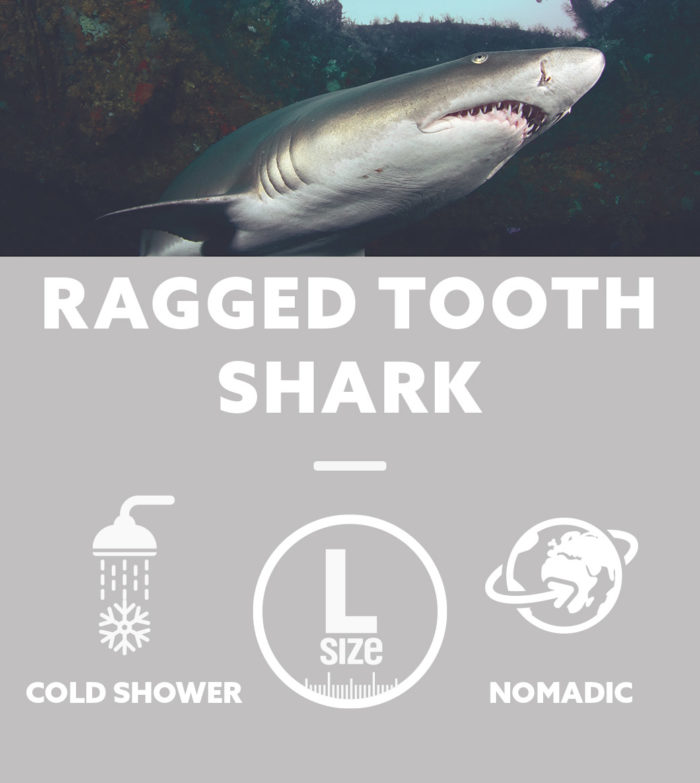 Shark Profiles - Sharks Under Attack Campaign