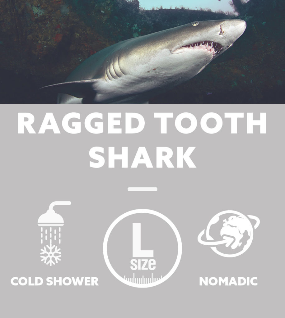 Shark Profiles - Sharks Under Attack Campaign