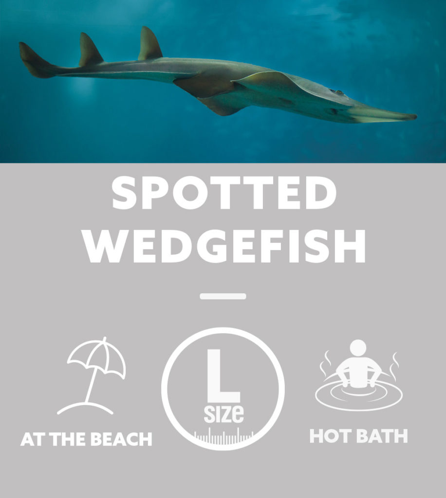 Shark Profiles - Sharks Under Attack Campaign