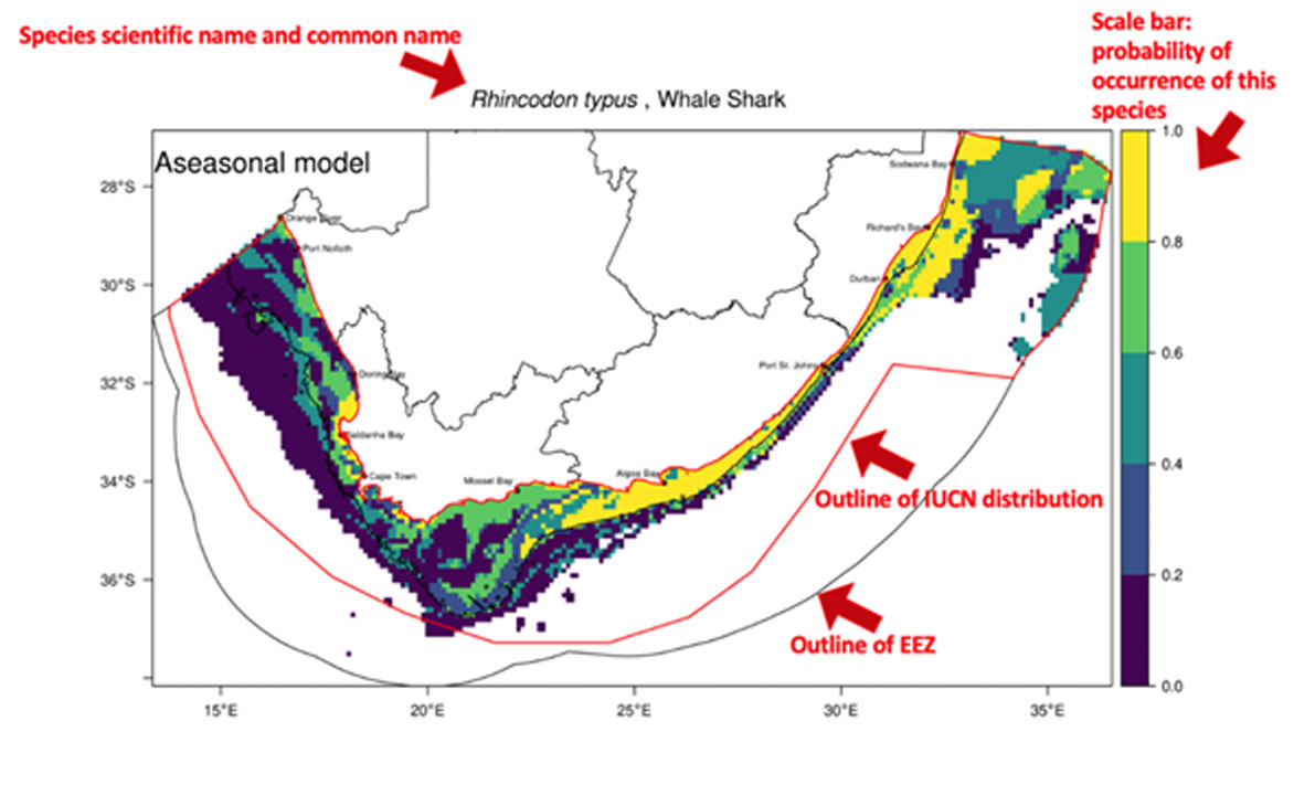 Resources - Sharks Under Attack Campaign
